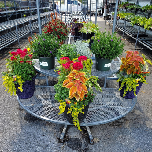 Hanoverdale Agway: Pet, Farm, Lawn and Garden Supply - Harrisburg, PA